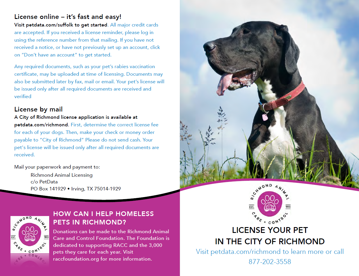 Licensing and Permitting | Richmond